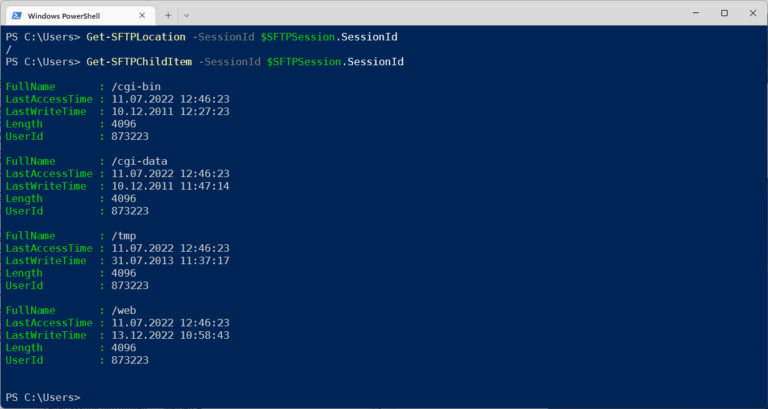 SFTP unter Powershell - IT Brothers Blog